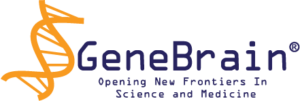 Product: GeneBrain® – Digital Infuzion